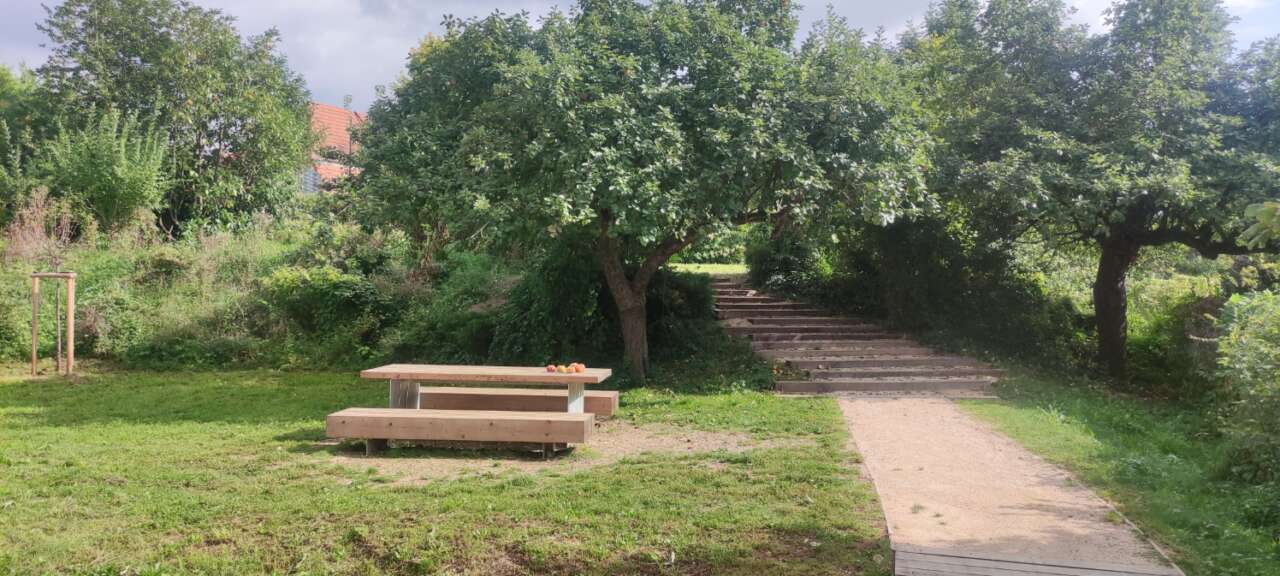 Parc des Fenottes - Ancy-Dornot